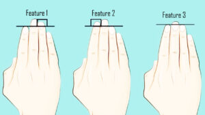 Your Finger Shape Determines Your Personality Type | ≡BrainFeeding》